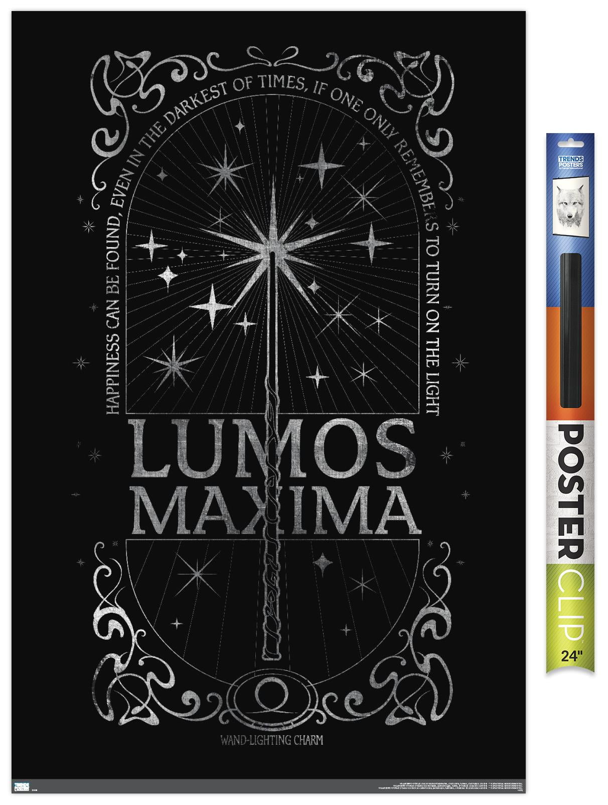 The Wizarding World: Harry Potter - Lumos Maxima Wall Poster, 22.375" x 34" - Walmart.com