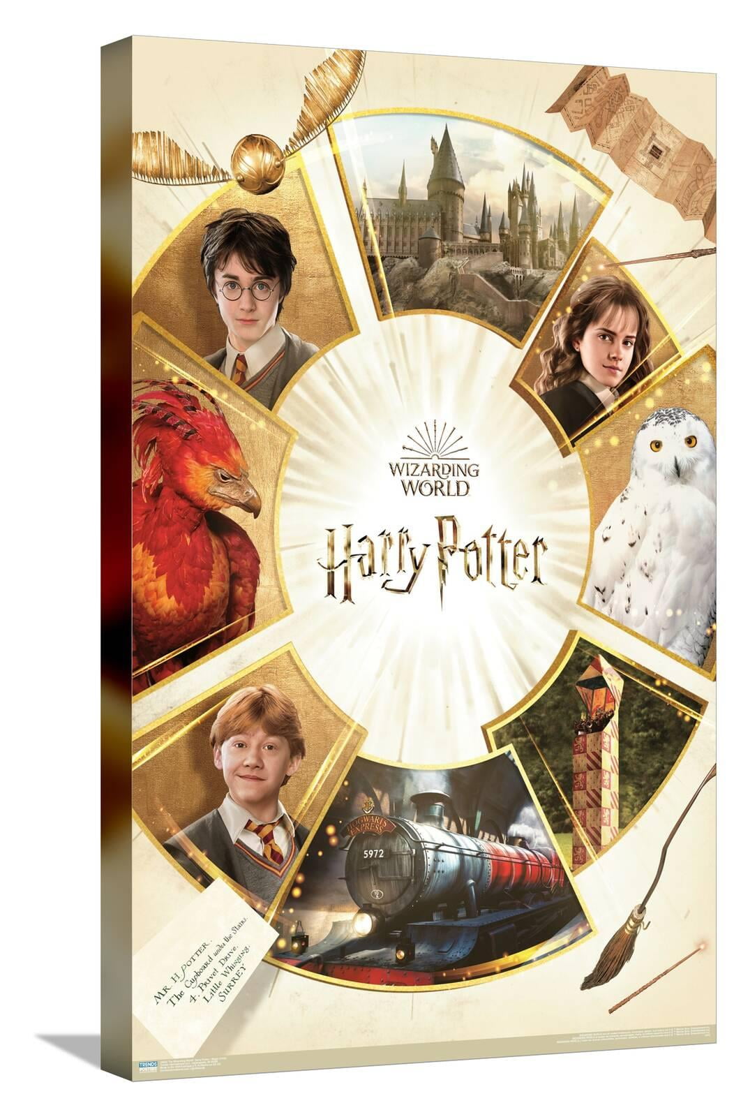 The Wizarding World: Harry Potter - Magic Circle Canvas Wall Poster, 14 ...