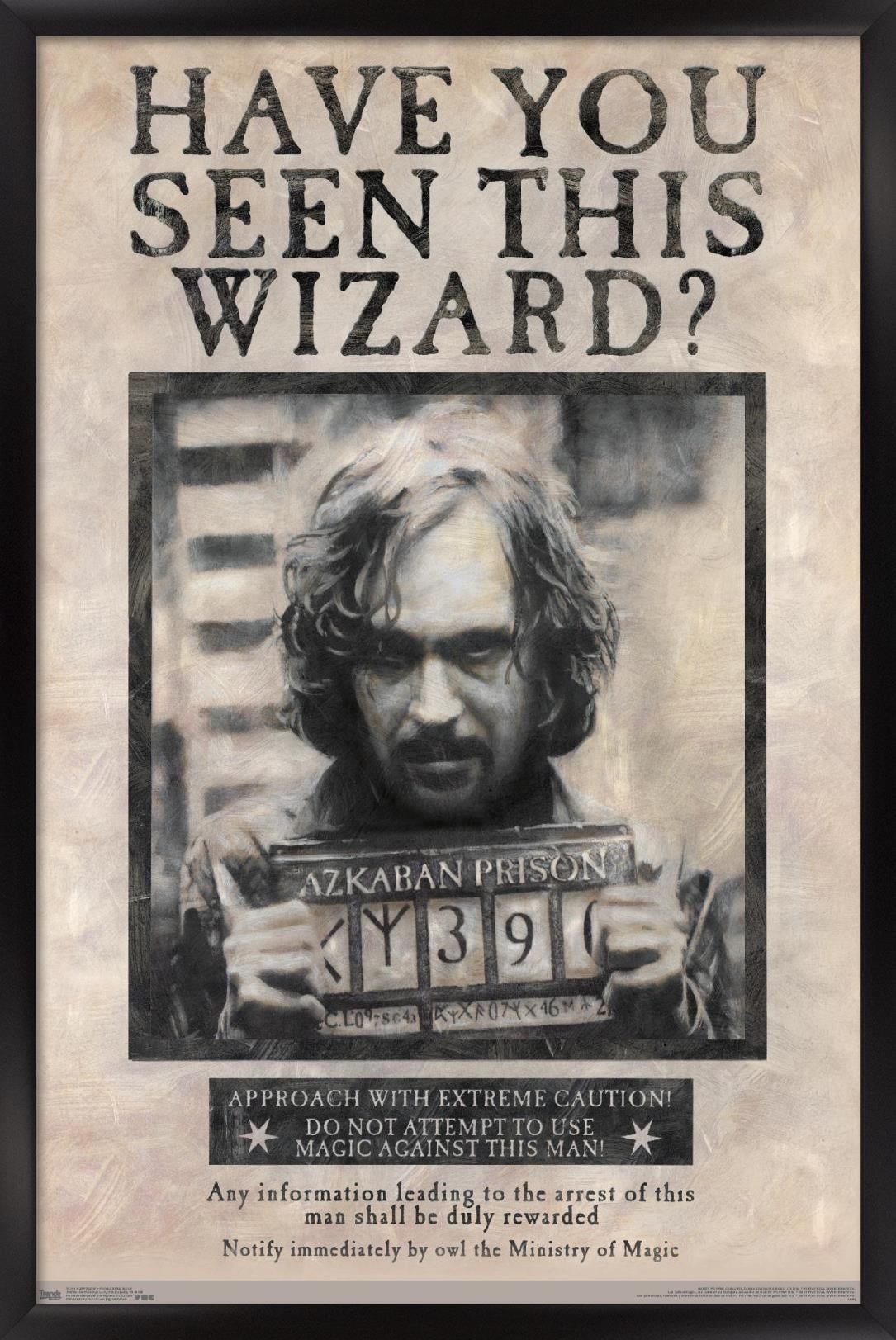 The Wizarding World: Harry Potter - Sirius Black Wanted Poster Wall ...