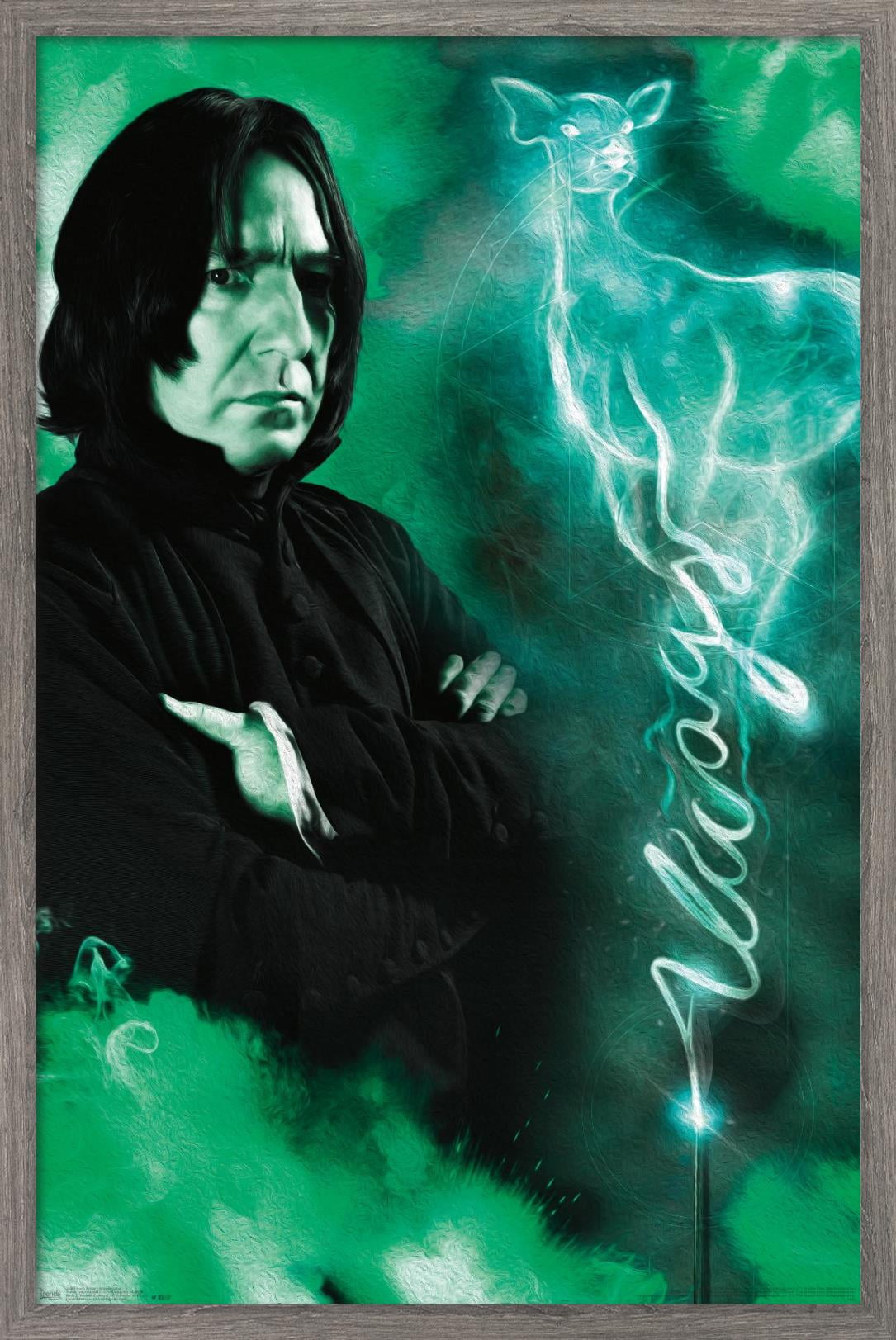 The Wizarding World: Harry Potter - Snape Always Wall Poster, 22.375" x ...