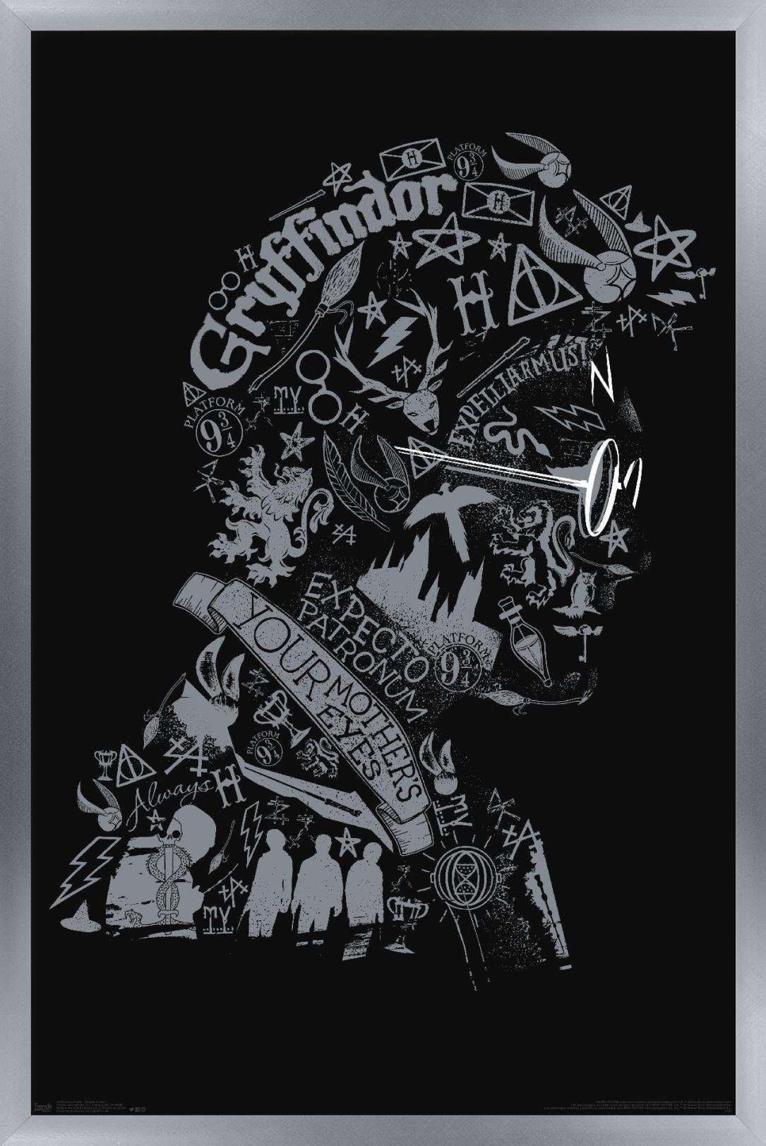 The Wizarding World: Harry Potter - Text Graphic of Harry Potter Wall ...