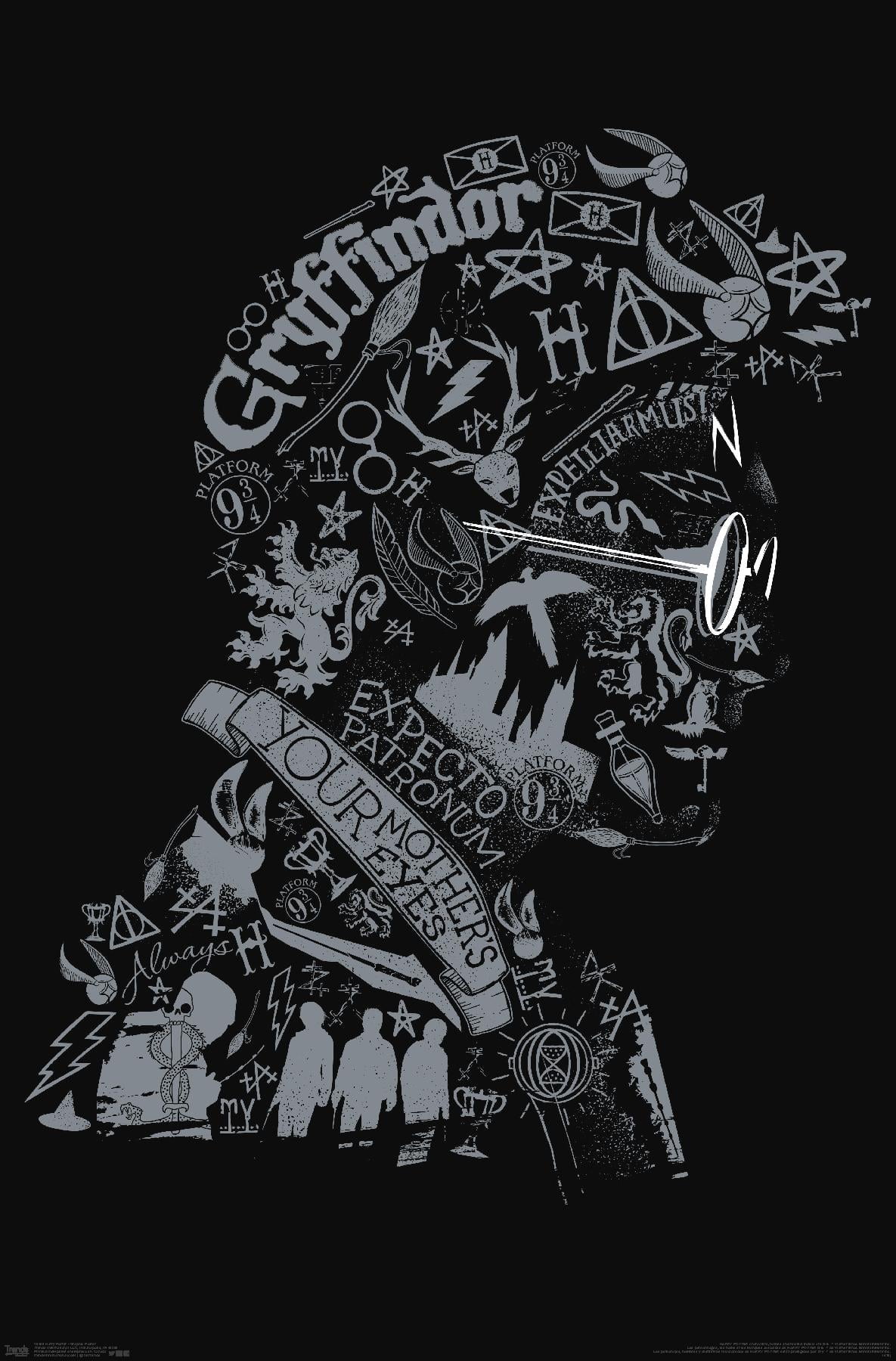 The Wizarding World: Harry Potter - Text Graphic of Harry Potter Wall ...