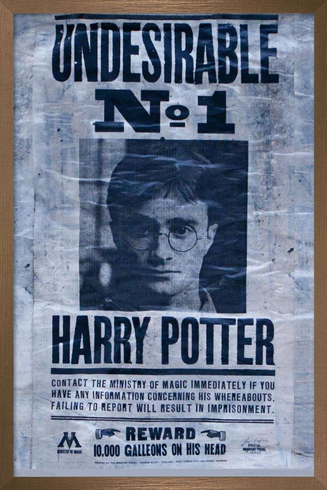 The Wizarding World: Harry Potter - Undesirable Wall Poster, 14.725" x ...