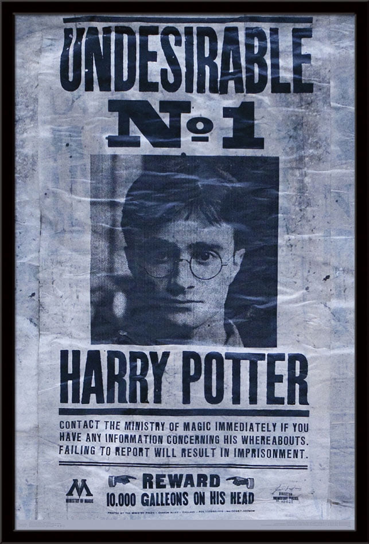 The Wizarding World: Harry Potter - Undesirable Wall Poster, 22.375" x ...