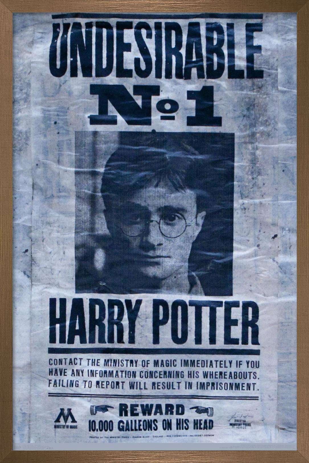 The Wizarding World: Harry Potter - Undesirable Wall Poster, 22.375" x ...