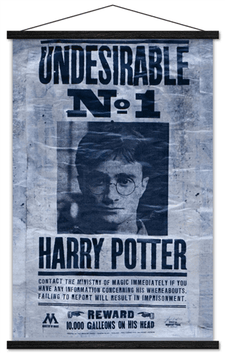 The Wizarding World: Harry Potter - Undesirable Wall Poster with ...