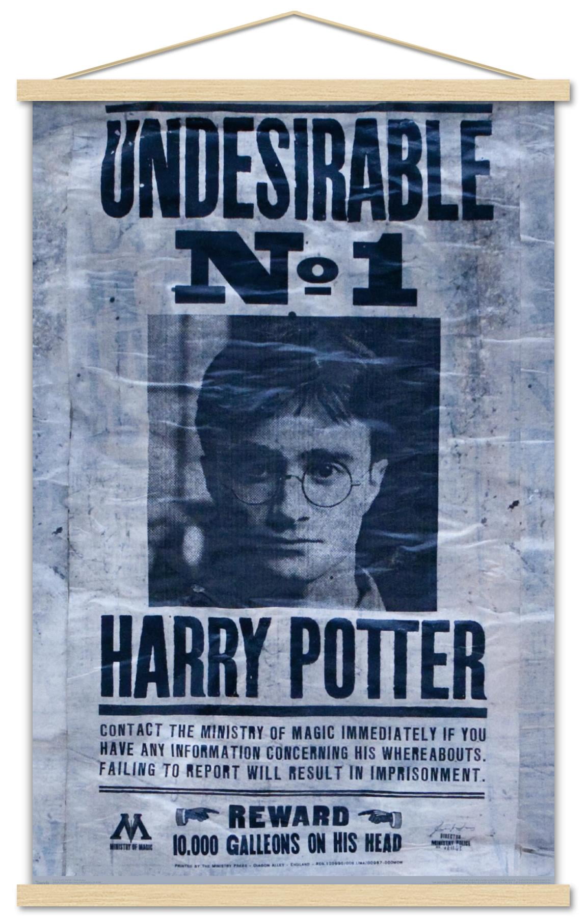 The Wizarding World: Harry Potter - Undesirable Wall Poster with Wooden ...