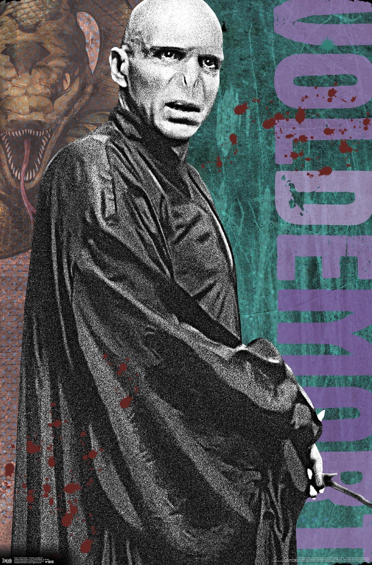 The Wizarding World: Harry Potter - Voldemort with Wand Wall Poster, 22 ...