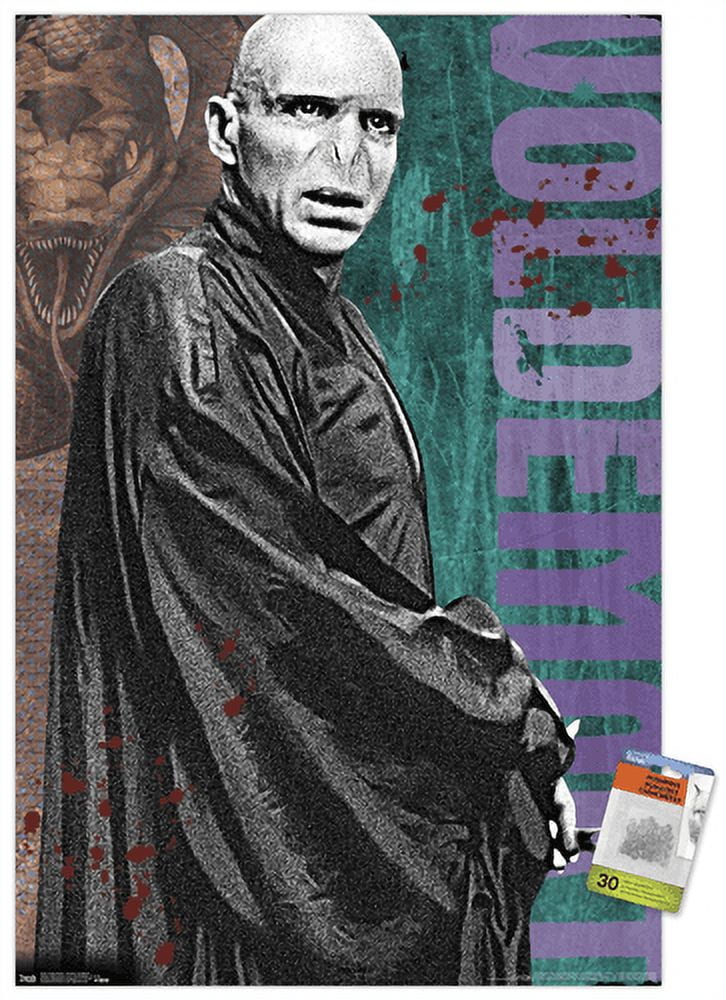 The Wizarding World: Harry Potter - Voldemort with Wand Wall Poster ...