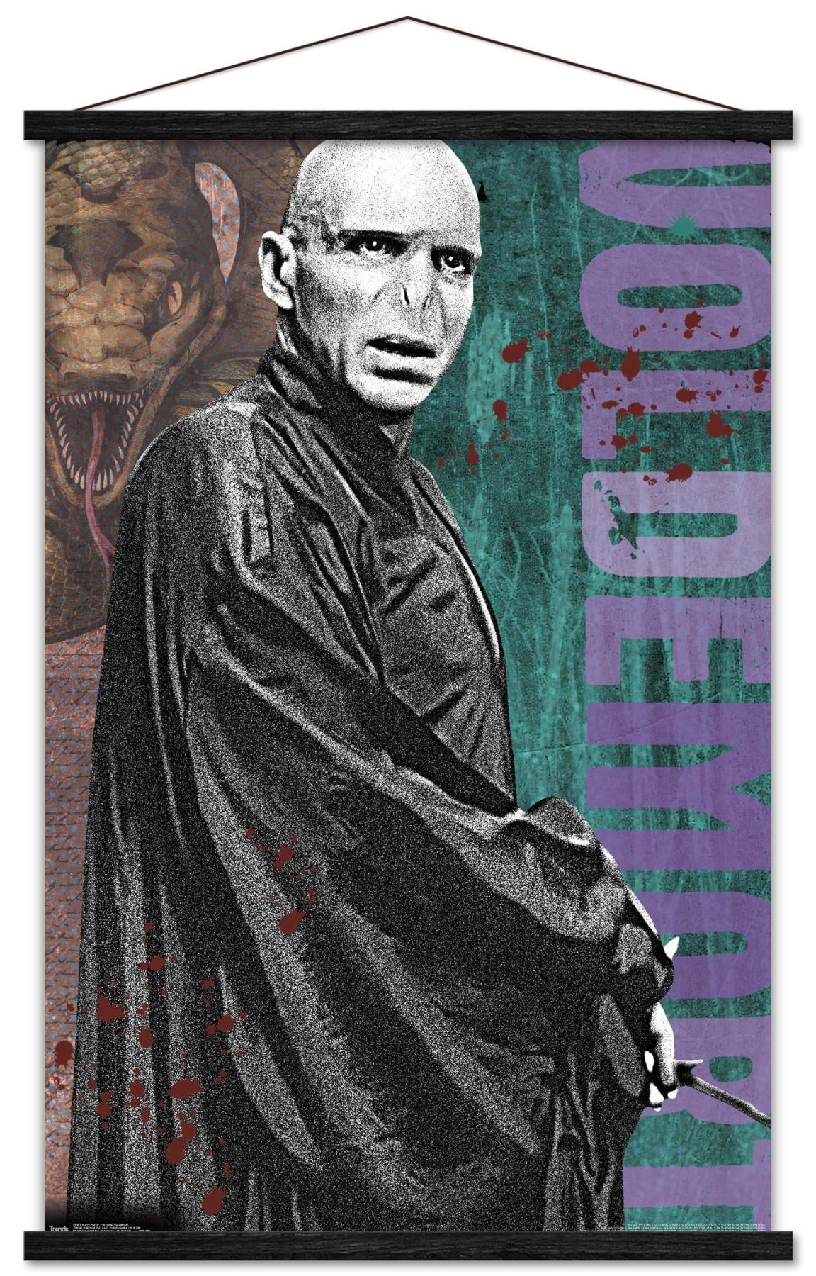 The Wizarding World: Harry Potter - Voldemort with Wand Wall Poster ...