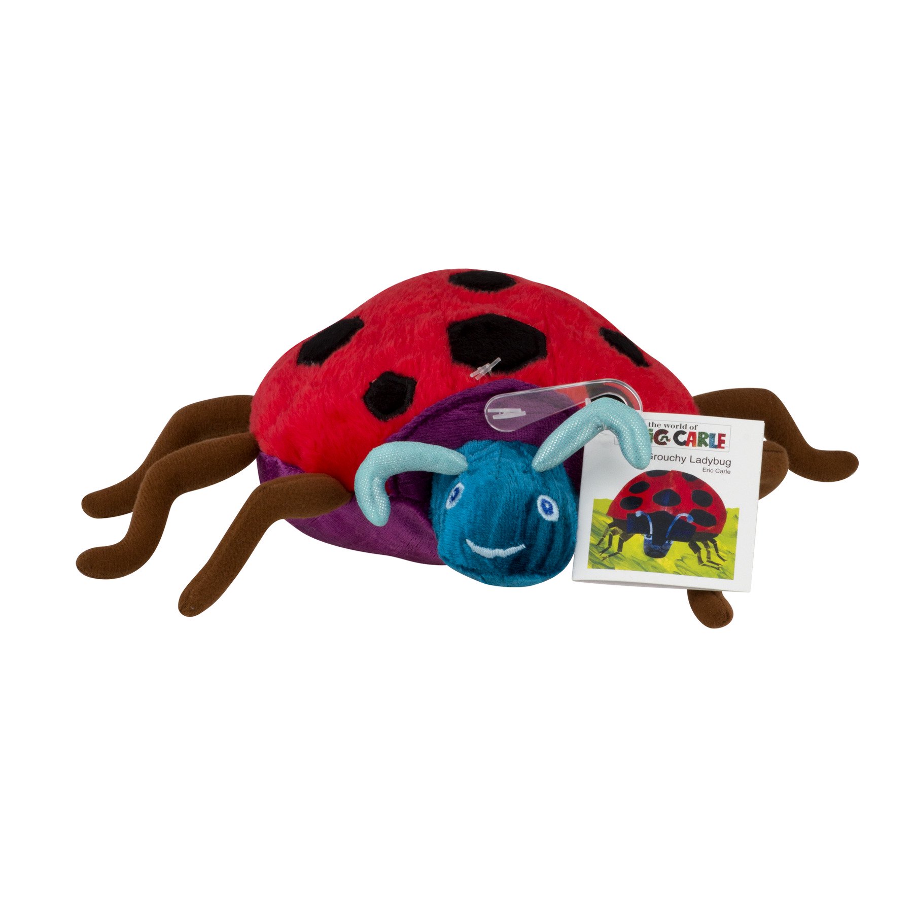 The Grouchy Ladybug Story