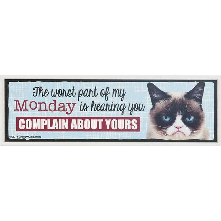 Mondays Grumpy Cat