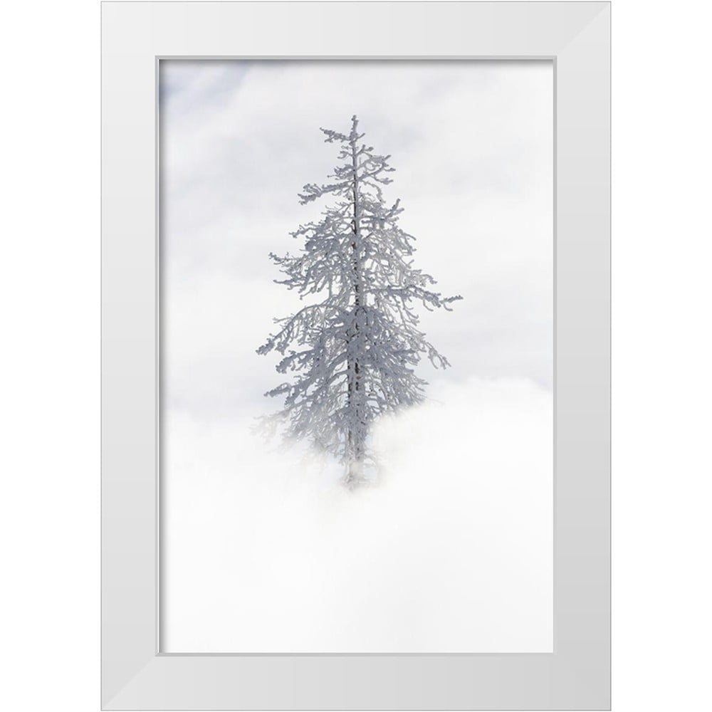 The Yellowstone Collection 11x14 White Modern Wood Framed Museum Art ...