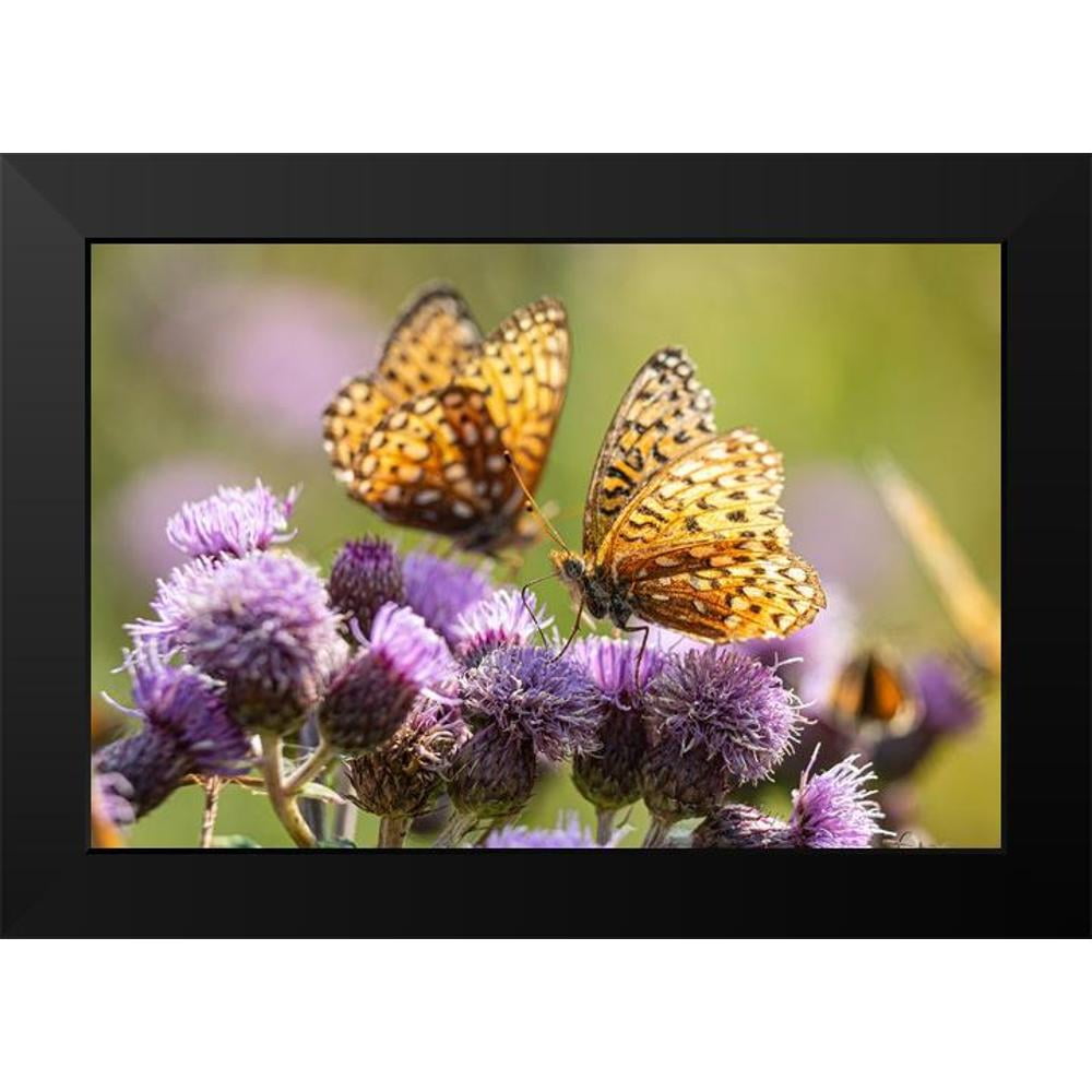 The Yellowstone Collection 14x11 Black Modern Framed Museum Art Print ...