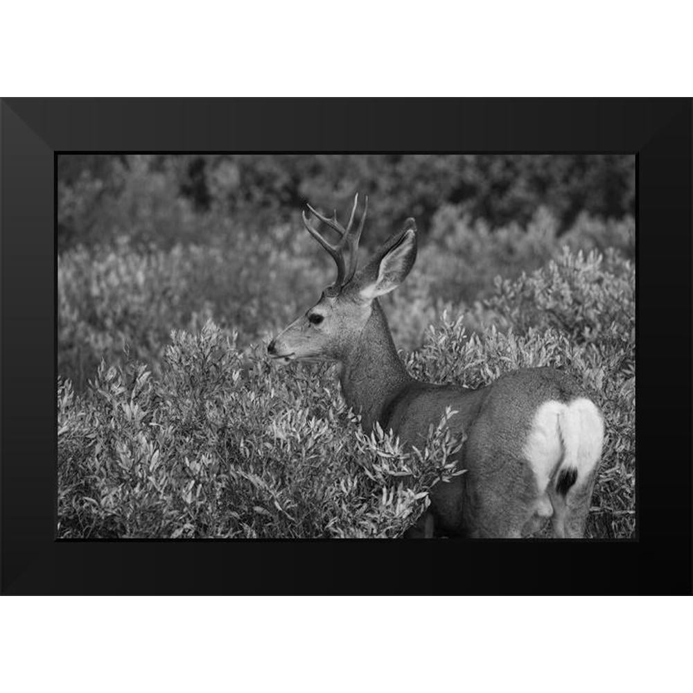 The Yellowstone Collection 14x11 Black Modern Framed Museum Art Print ...