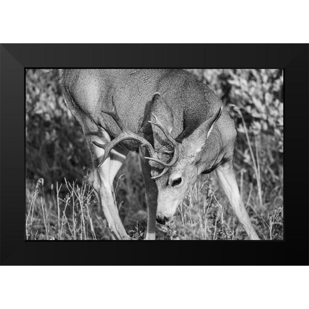 The Yellowstone Collection 14x11 Black Modern Framed Museum Art Print ...