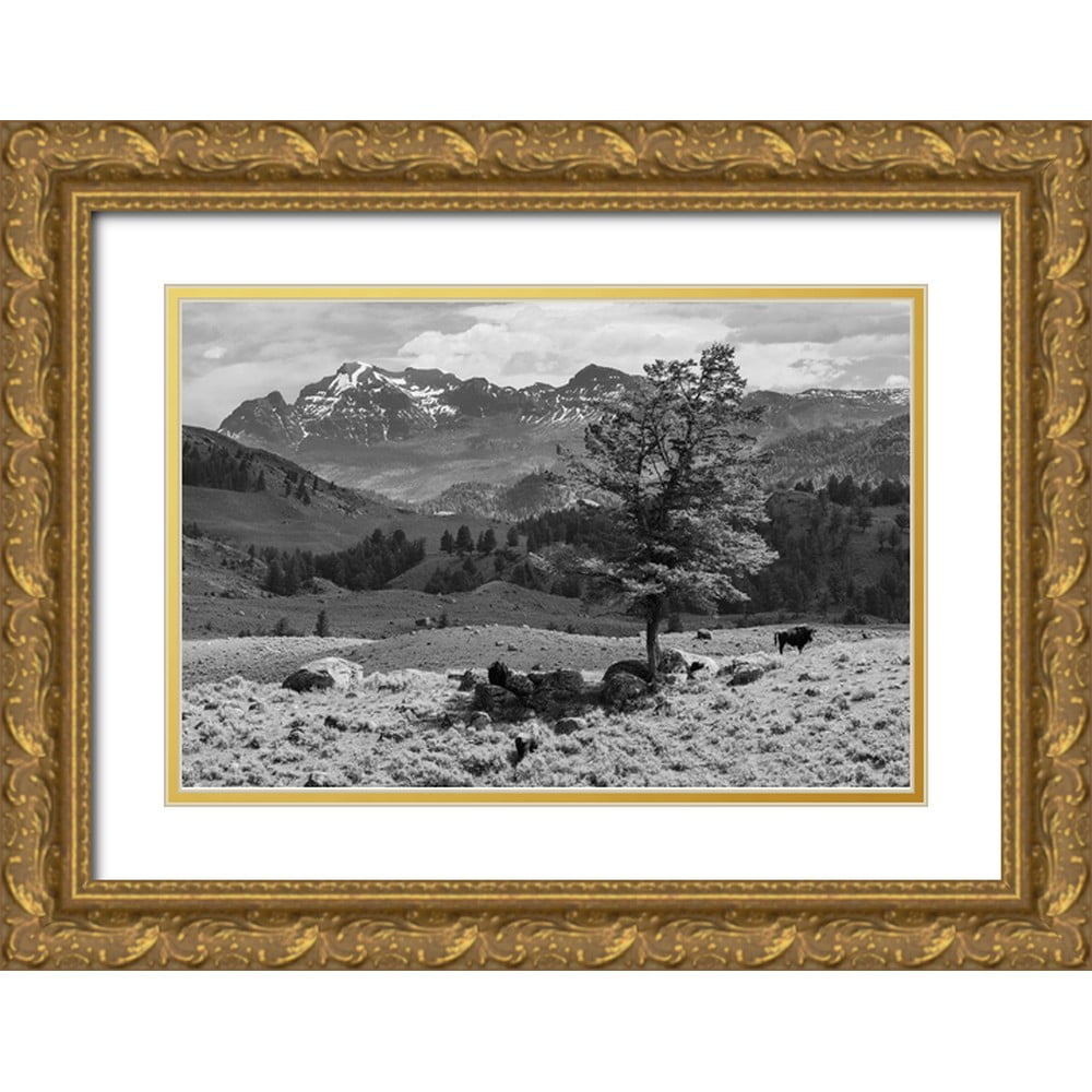 The Yellowstone Collection 14x11 Gold Ornate Wood Framed with Double ...