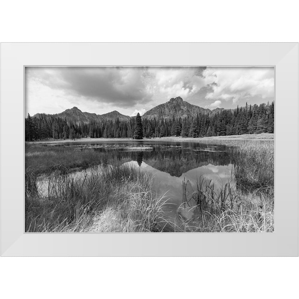 The Yellowstone Collection 14x11 White Modern Wood Framed Museum Art ...