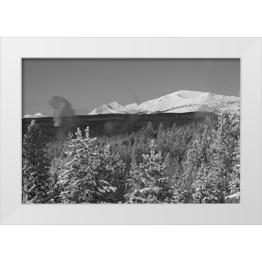 The Yellowstone Collection 14x11 White Modern Wood Framed Museum Art ...