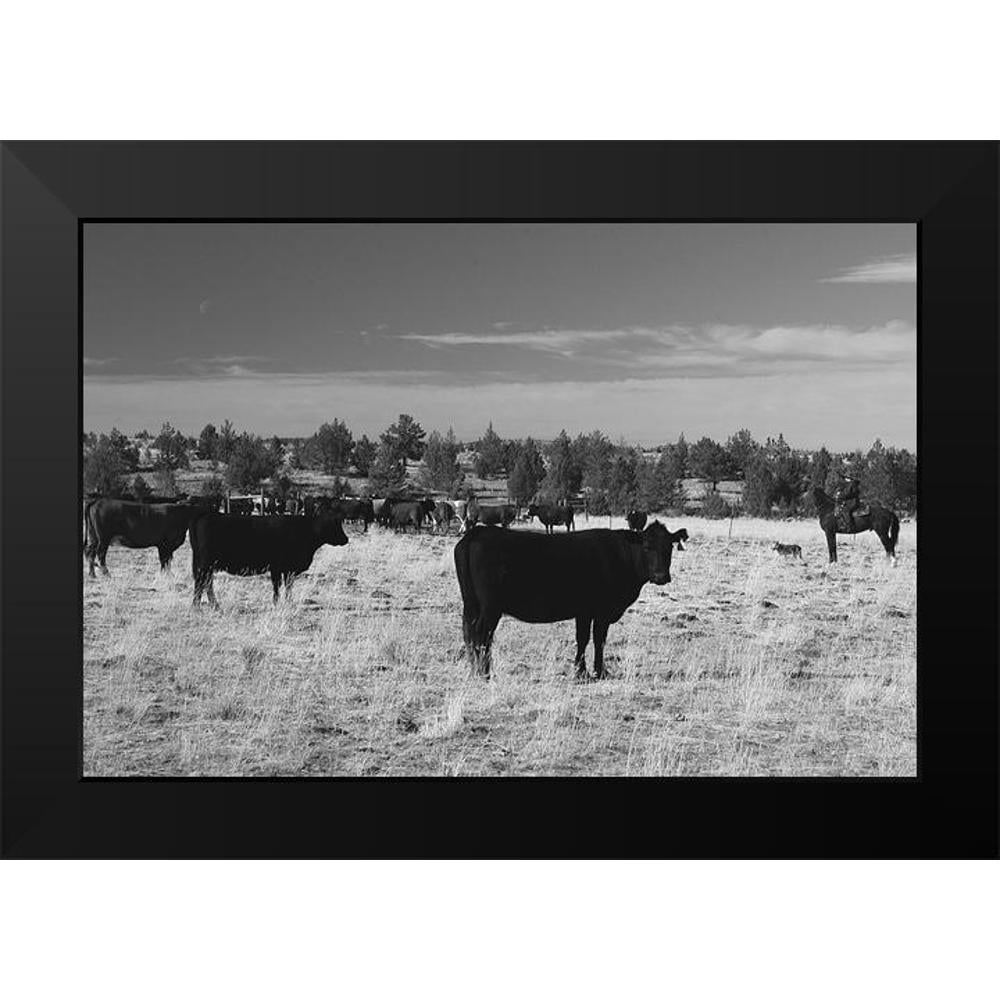 The Yellowstone Collection 18x13 Black Modern Framed Museum Art Print ...
