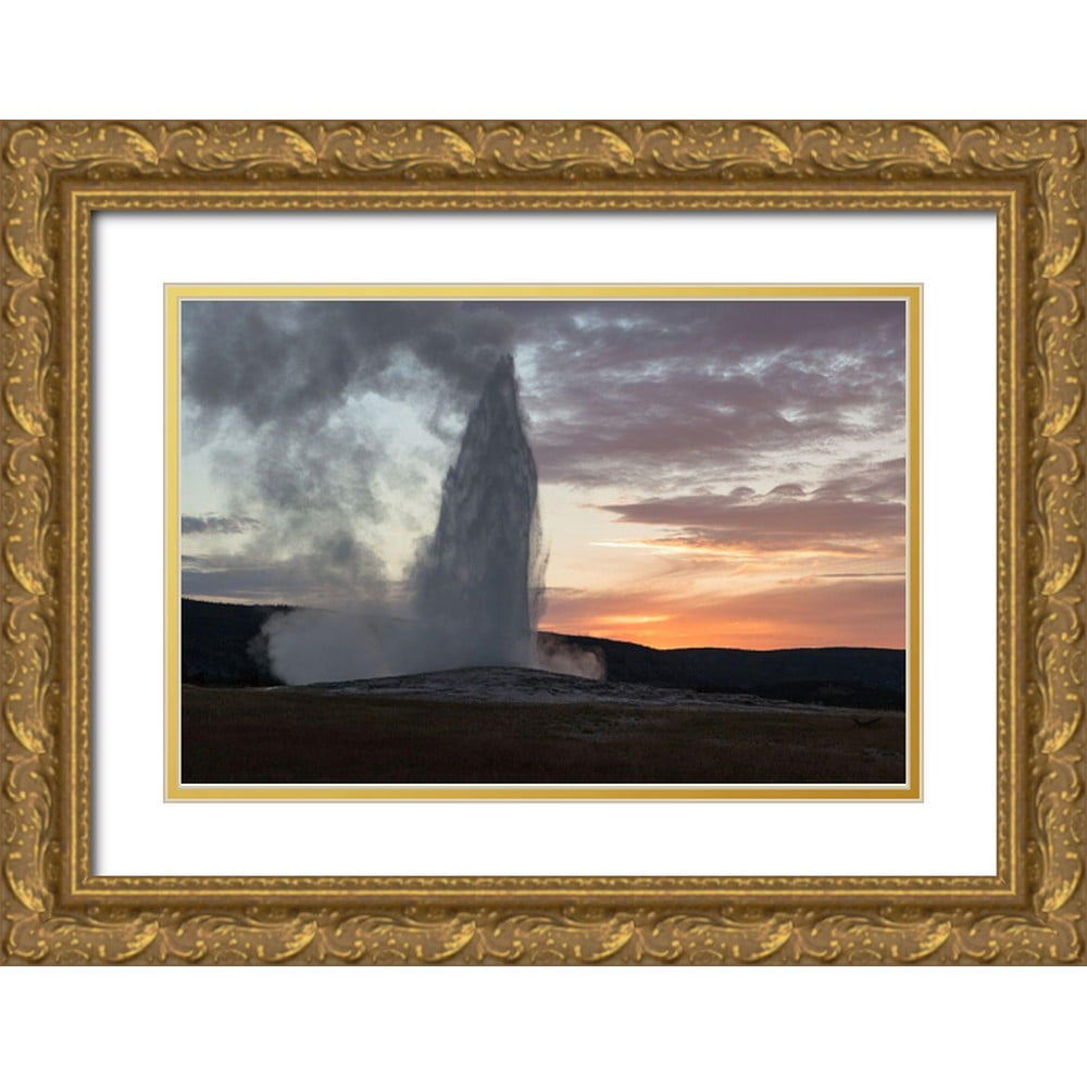 The Yellowstone Collection 18x13 Gold Ornate Wood Framed with Double ...