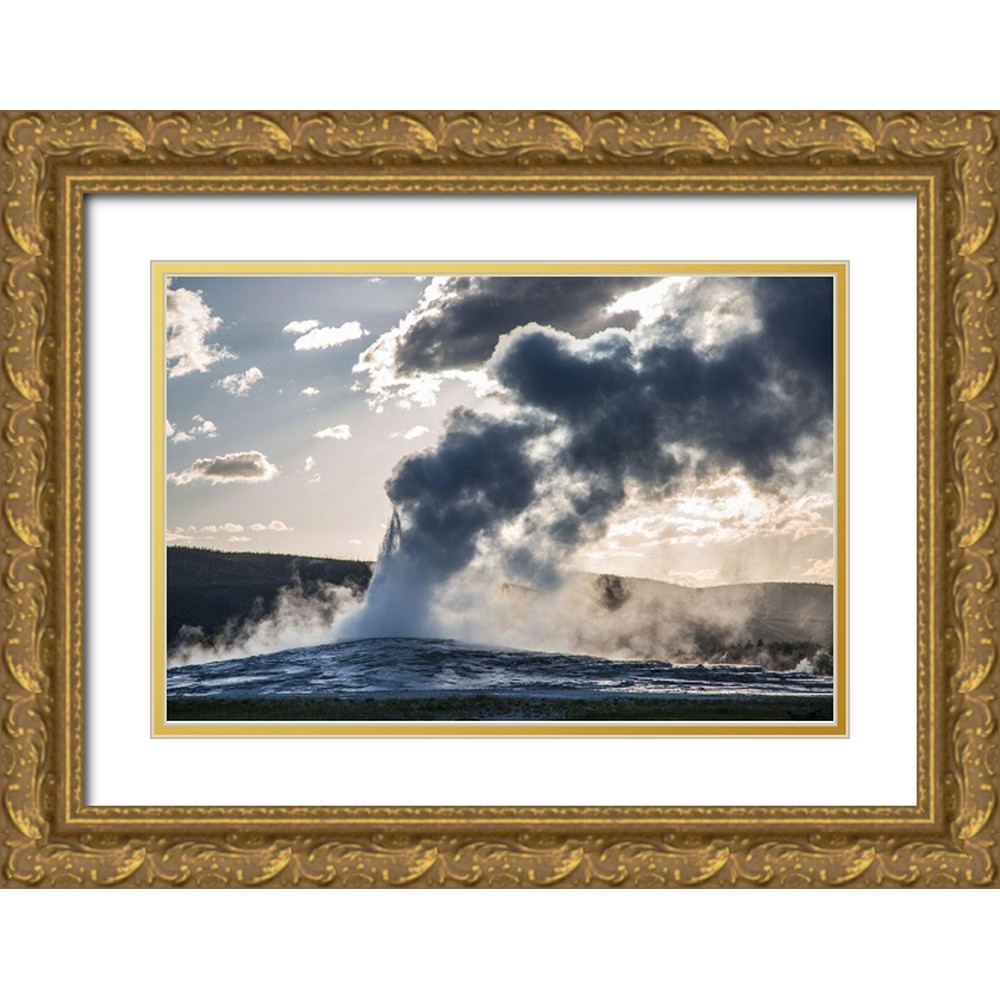 The Yellowstone Collection 18x13 Gold Ornate Wood Framed with Double ...