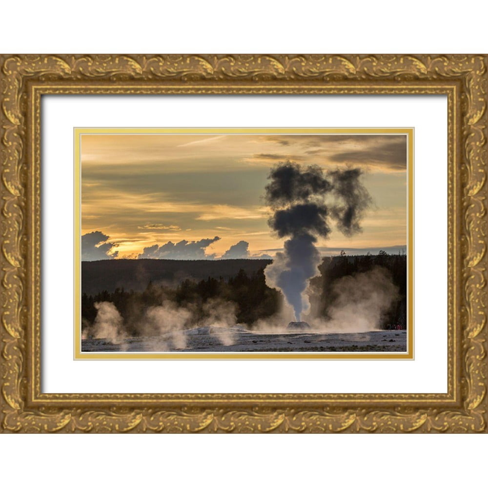 The Yellowstone Collection 18x13 Gold Ornate Wood Framed with Double ...