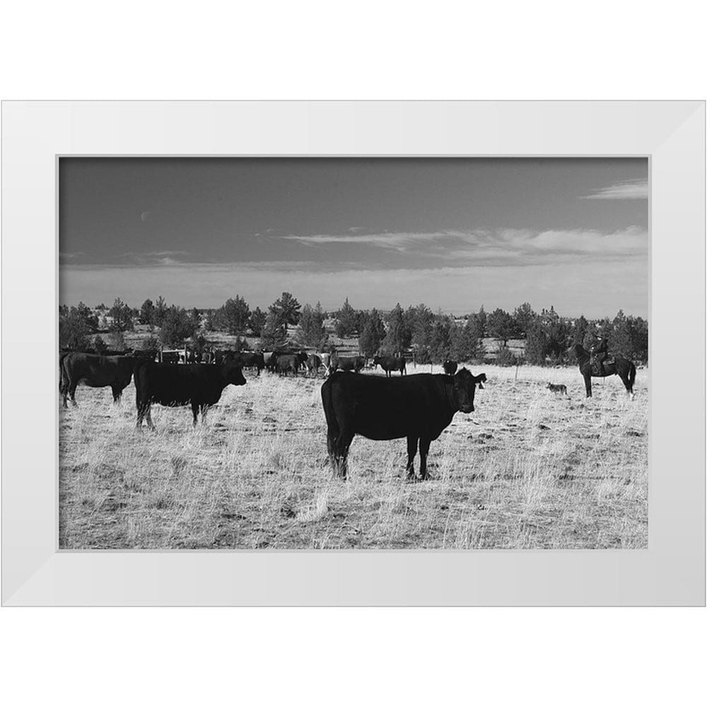 The Yellowstone Collection 18x13 White Modern Wood Framed Museum Art ...