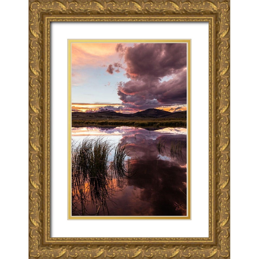 The Yellowstone Collection 23x32 Gold Ornate Wood Framed with Double ...