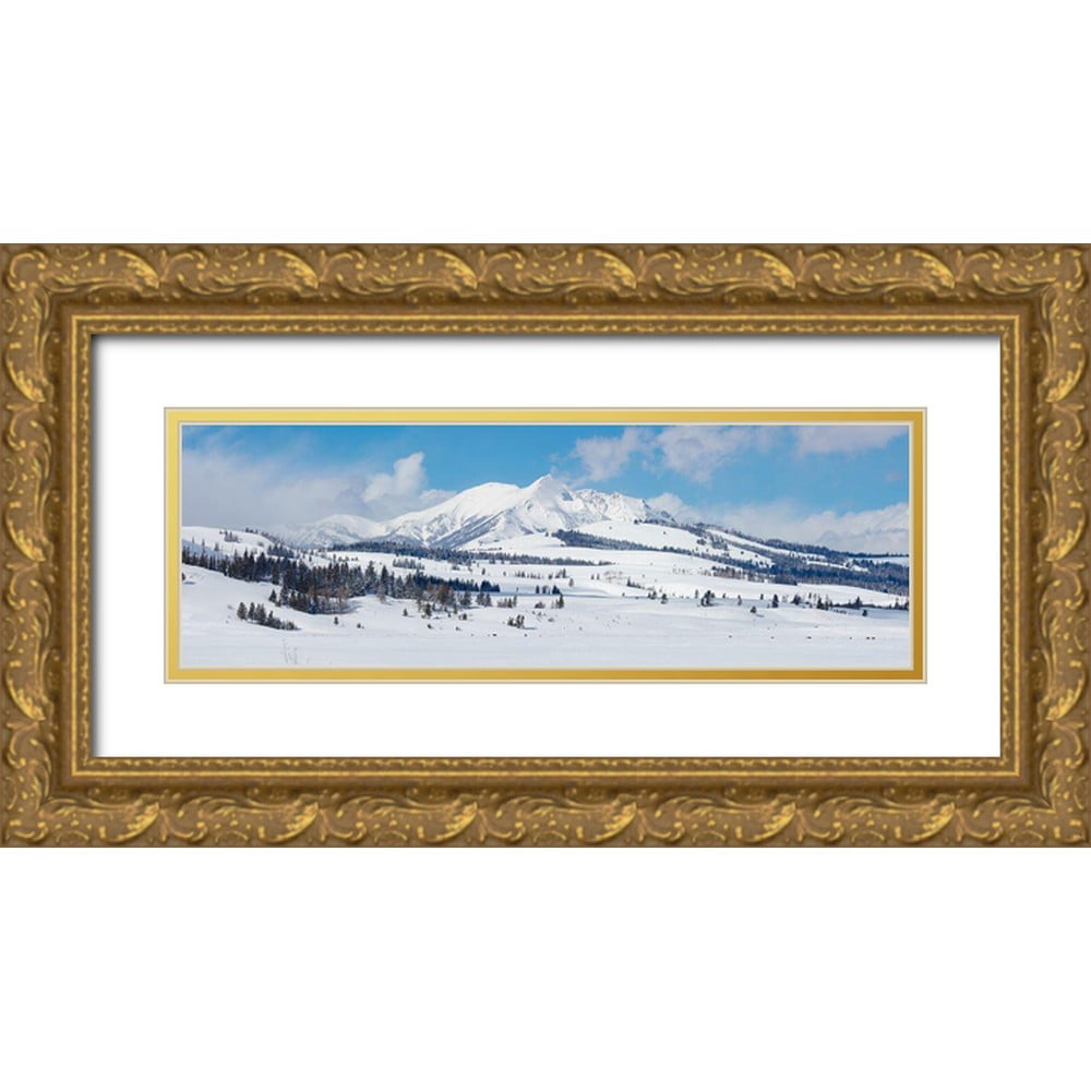 The Yellowstone Collection 24x11 Gold Ornate Wood Framed with Double ...