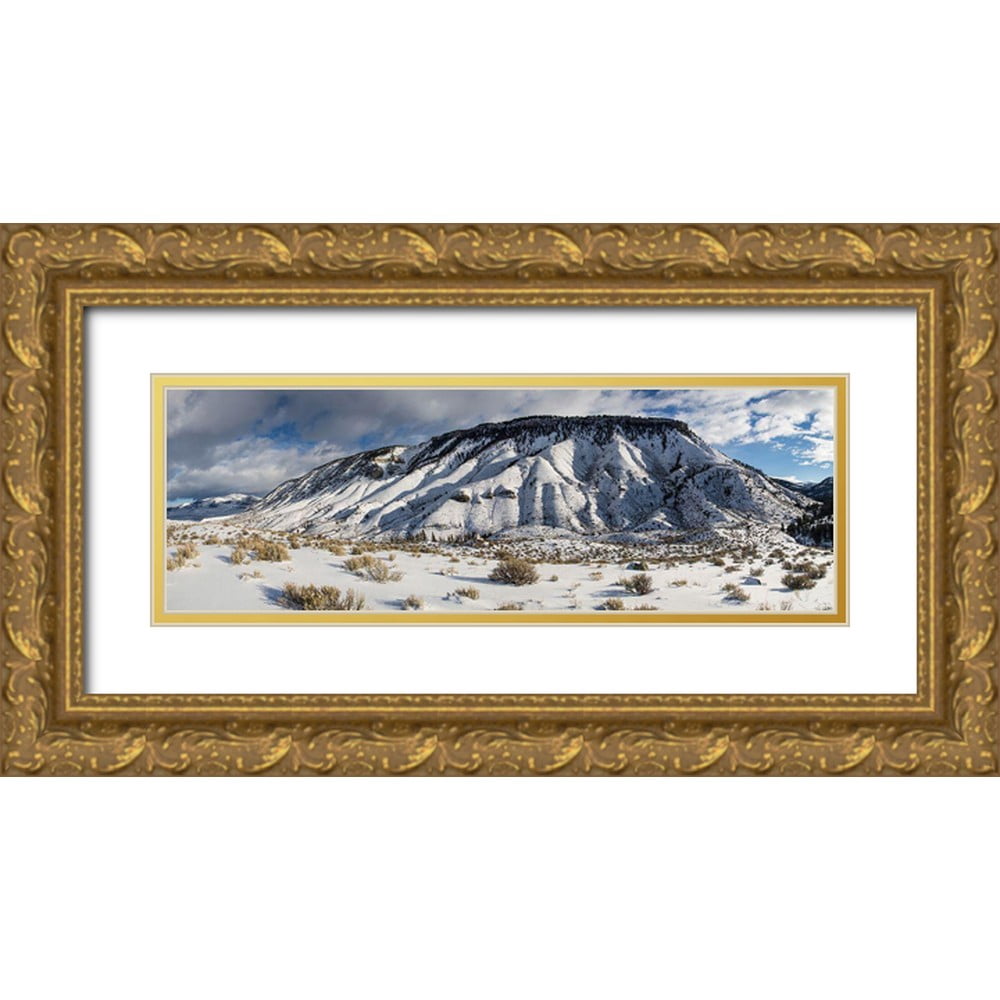 The Yellowstone Collection 24x11 Gold Ornate Wood Framed with Double ...