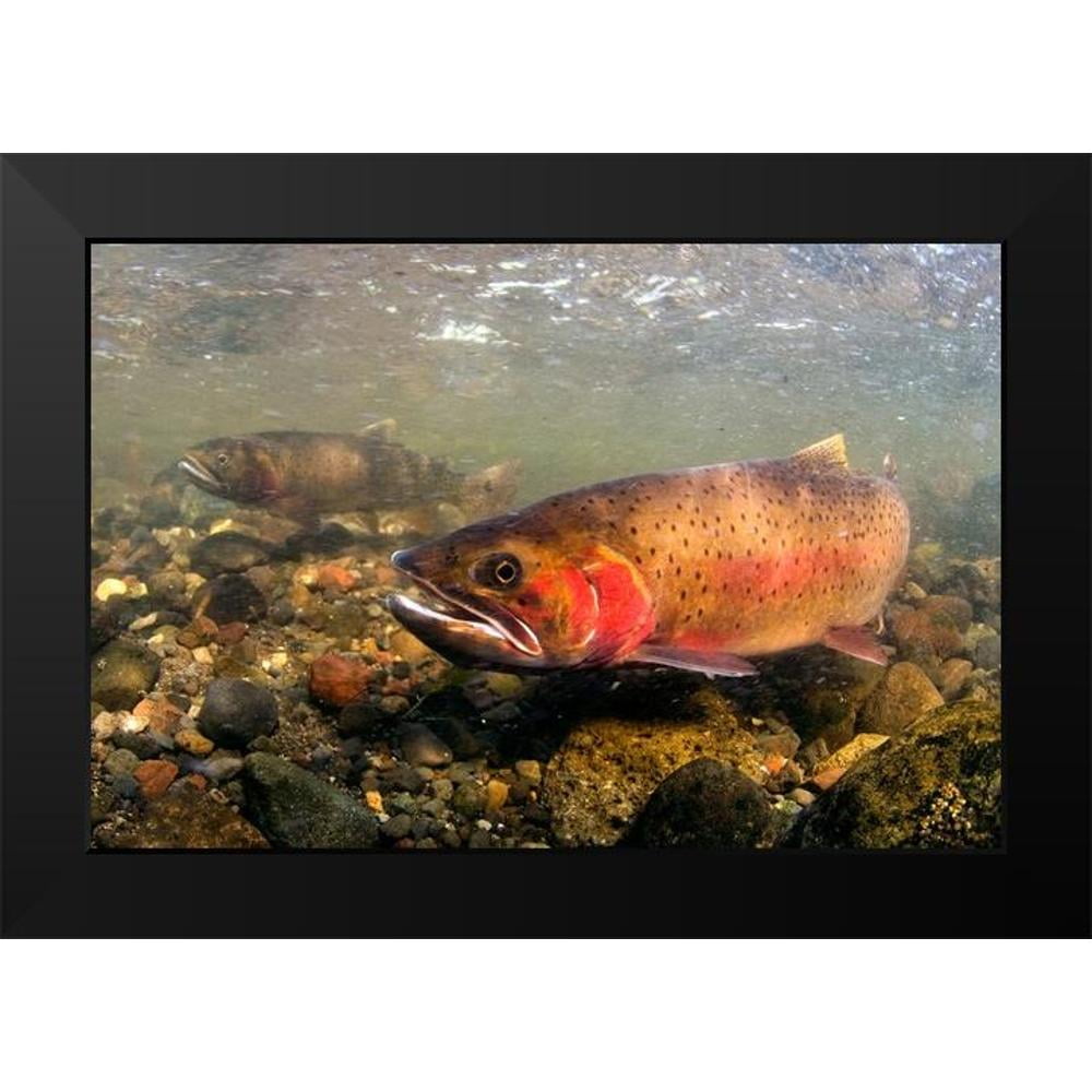 The Yellowstone Collection 24x17 Black Modern Framed Museum Art Print ...