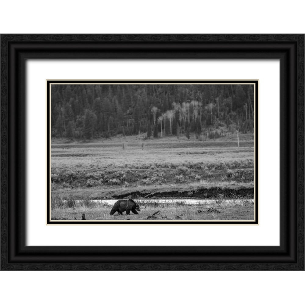 The Yellowstone Collection 24x17 Black Ornate Wood Framed with Double ...