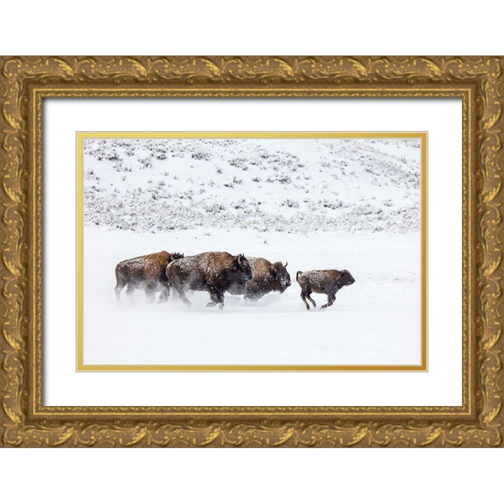 The Yellowstone Collection 24x17 Gold Ornate Wood Framed with Double ...