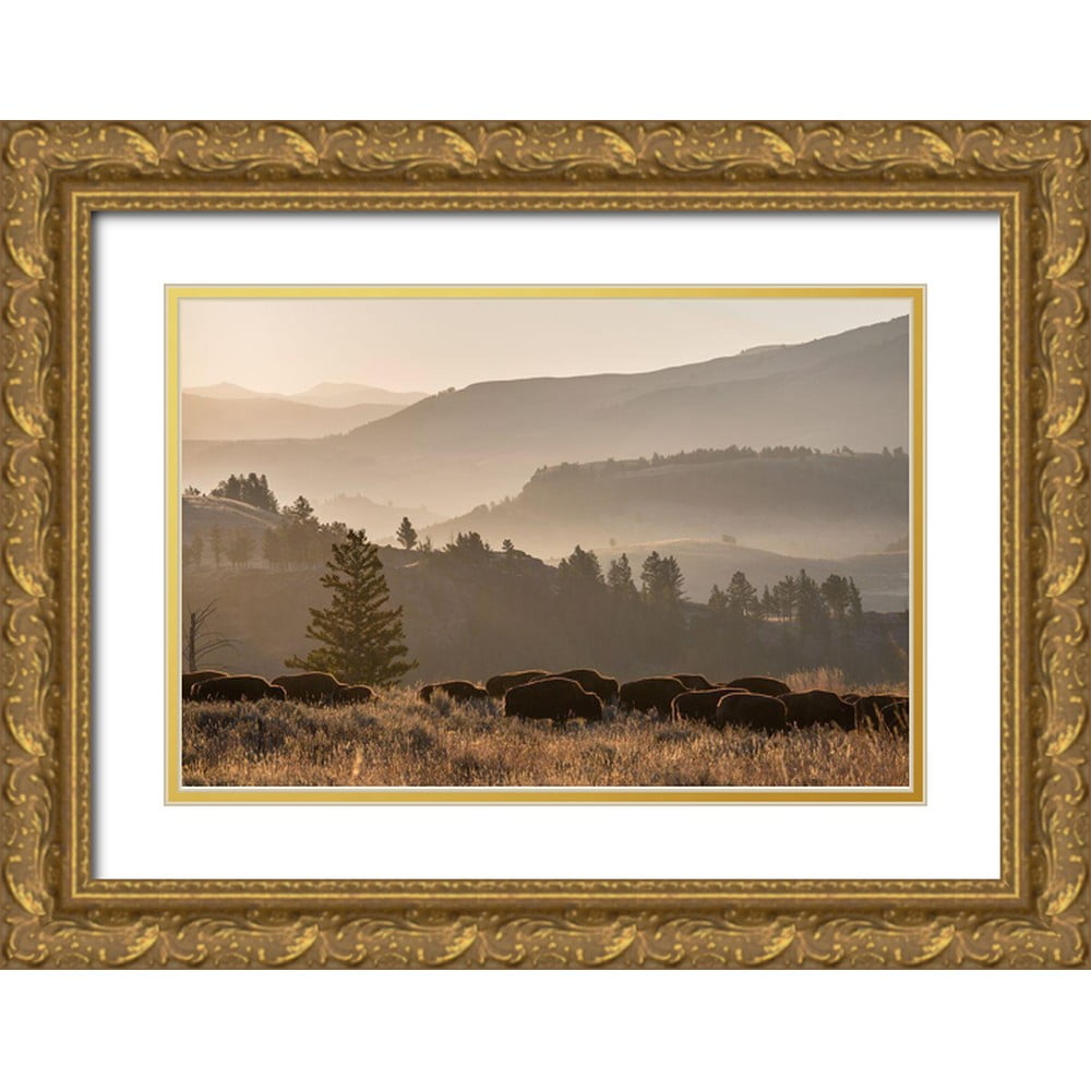 The Yellowstone Collection 24x17 Gold Ornate Wood Framed with Double ...