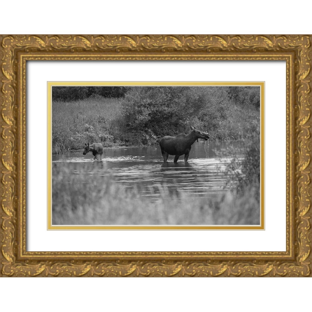 The Yellowstone Collection 24x17 Gold Ornate Wood Framed with Double ...