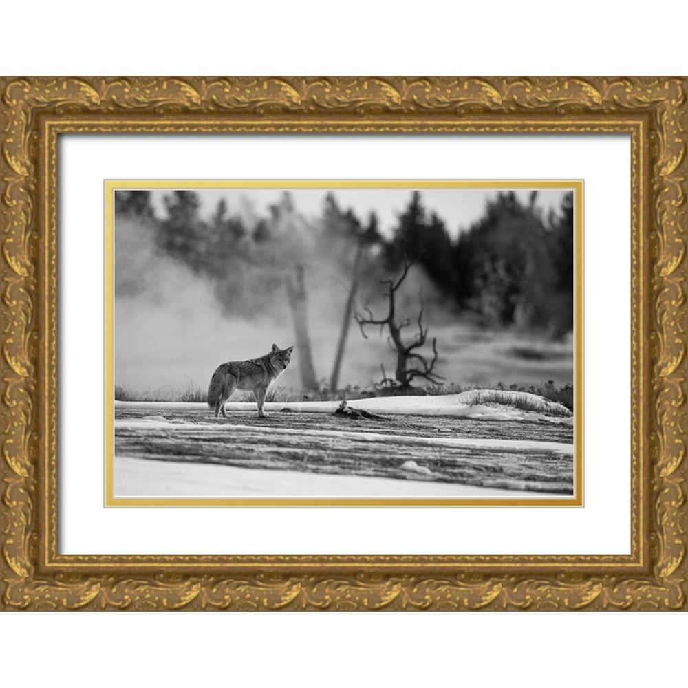 The Yellowstone Collection 24x17 Gold Ornate Wood Framed with Double ...