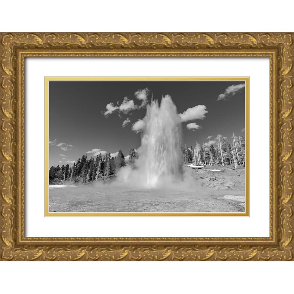 The Yellowstone Collection 24x17 Gold Ornate Wood Framed with Double ...