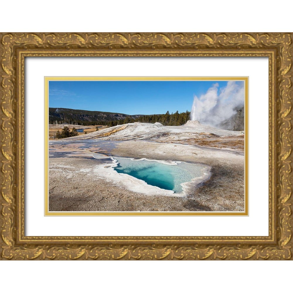 The Yellowstone Collection 24x17 Gold Ornate Wood Framed with Double ...