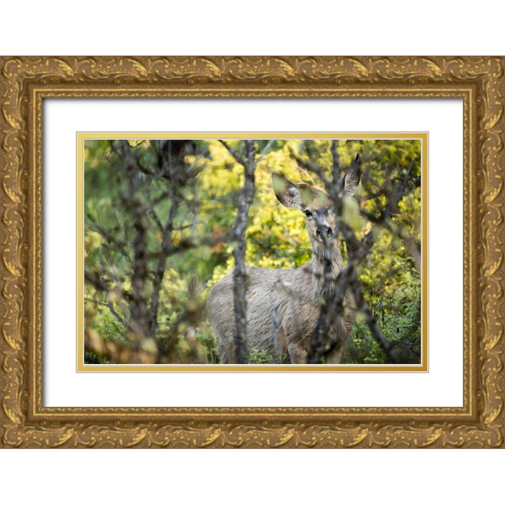 The Yellowstone Collection 24x17 Gold Ornate Wood Framed with Double ...