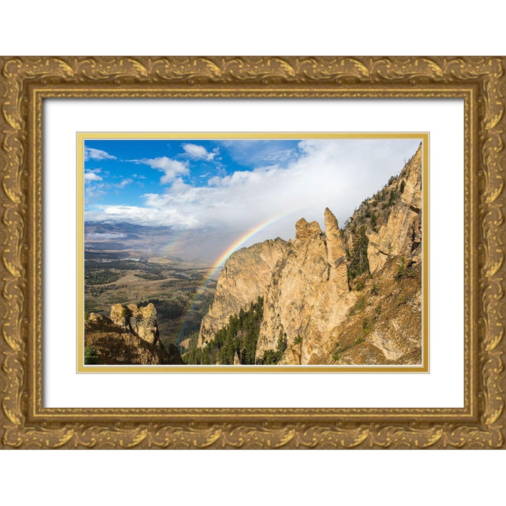 The Yellowstone Collection 24x17 Gold Ornate Wood Framed with Double ...