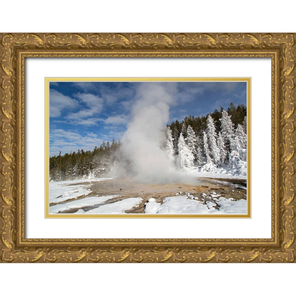 The Yellowstone Collection 24x17 Gold Ornate Wood Framed with Double ...