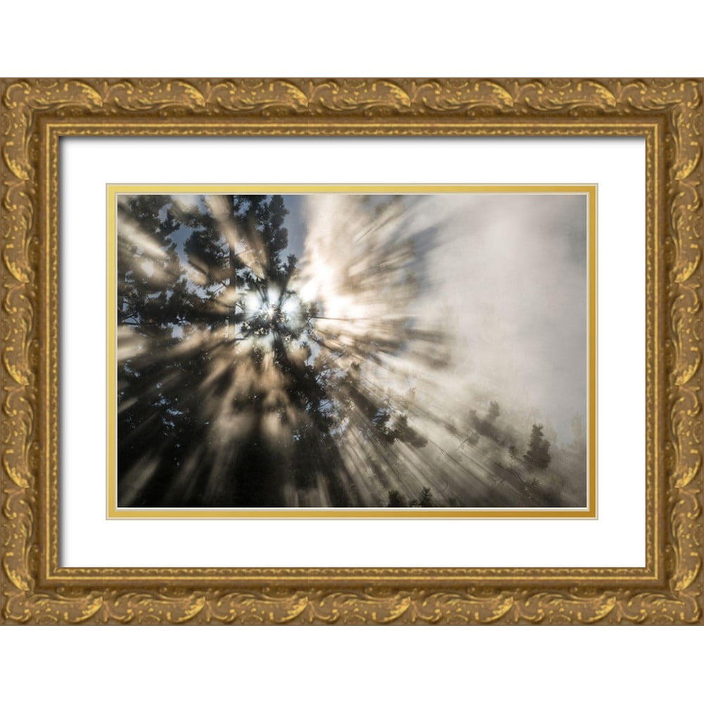 The Yellowstone Collection 24x17 Gold Ornate Wood Framed with Double ...