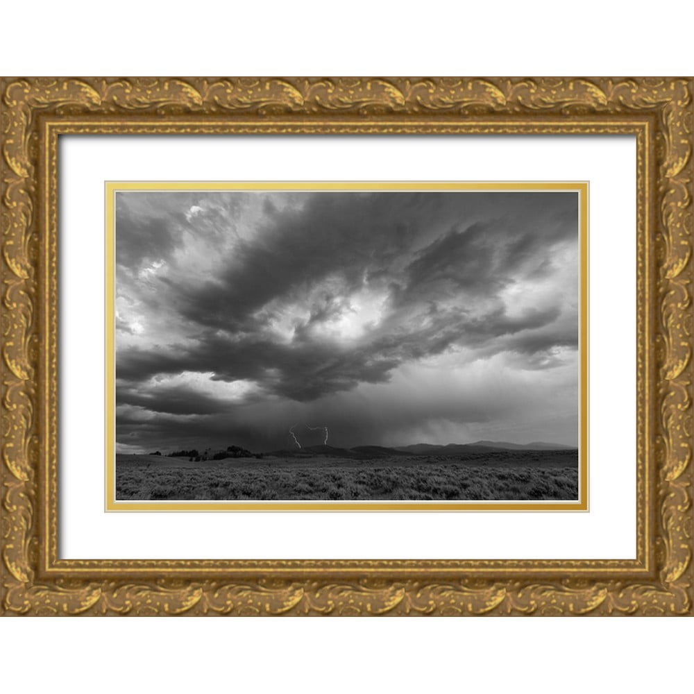 The Yellowstone Collection 24x17 Gold Ornate Wood Framed with Double ...