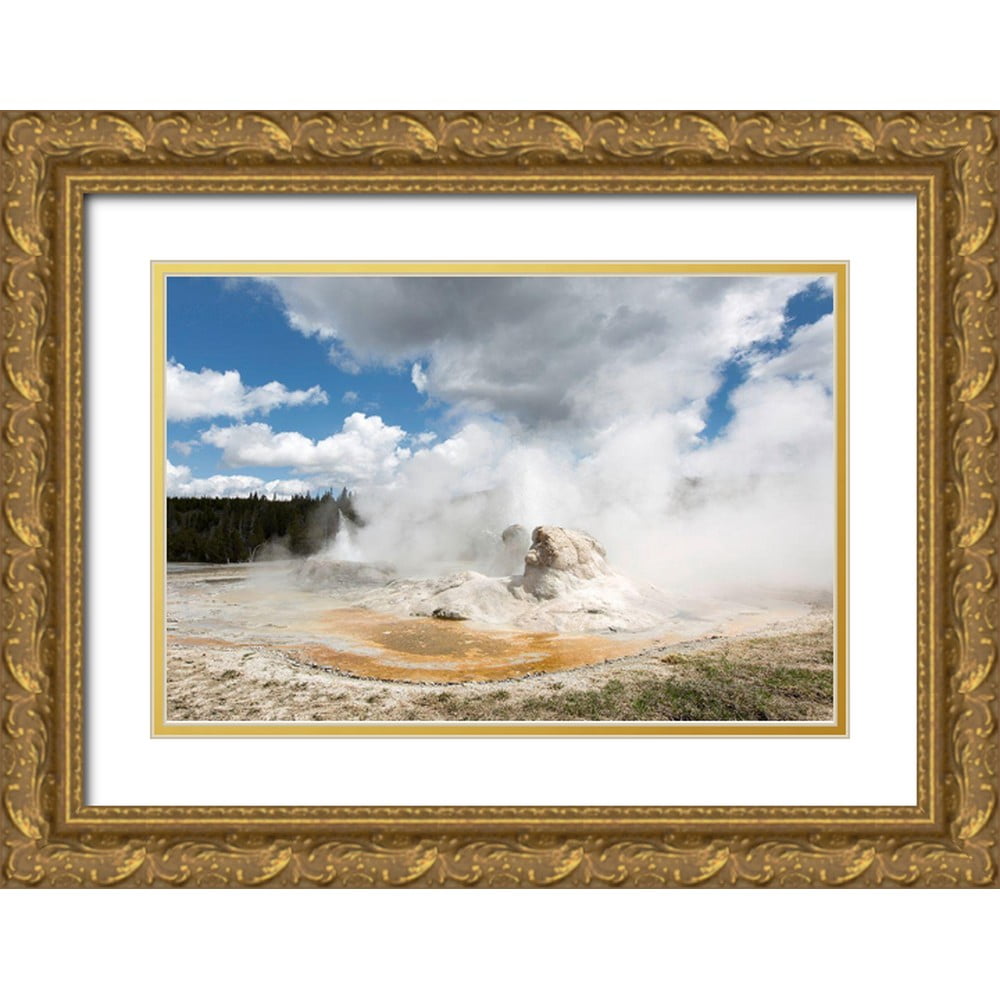 The Yellowstone Collection 24x17 Gold Ornate Wood Framed with Double ...