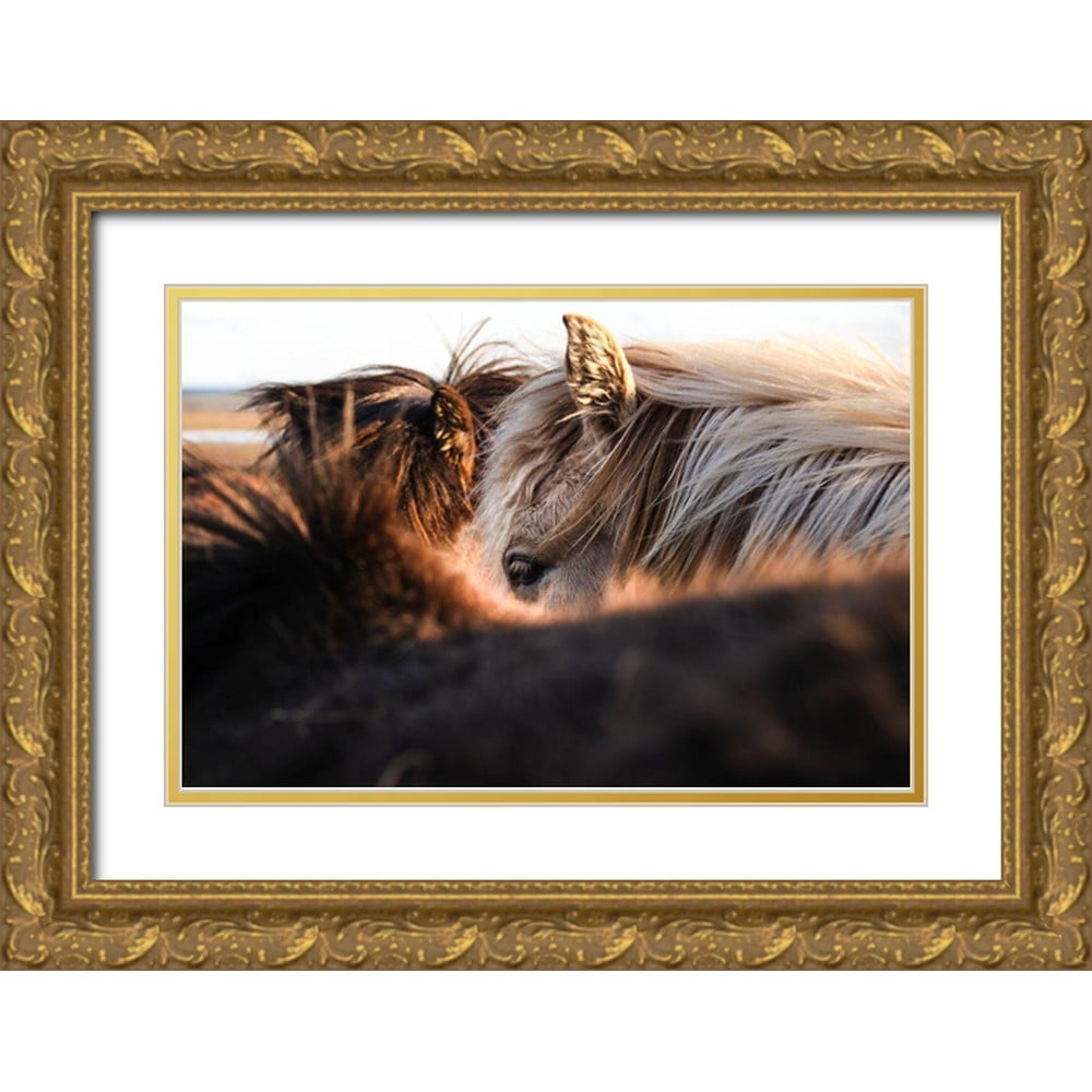 The Yellowstone Collection 24x17 Gold Ornate Wood Framed with Double ...