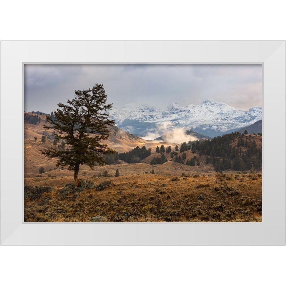 The Yellowstone Collection 24x17 White Modern Wood Framed Museum Art ...