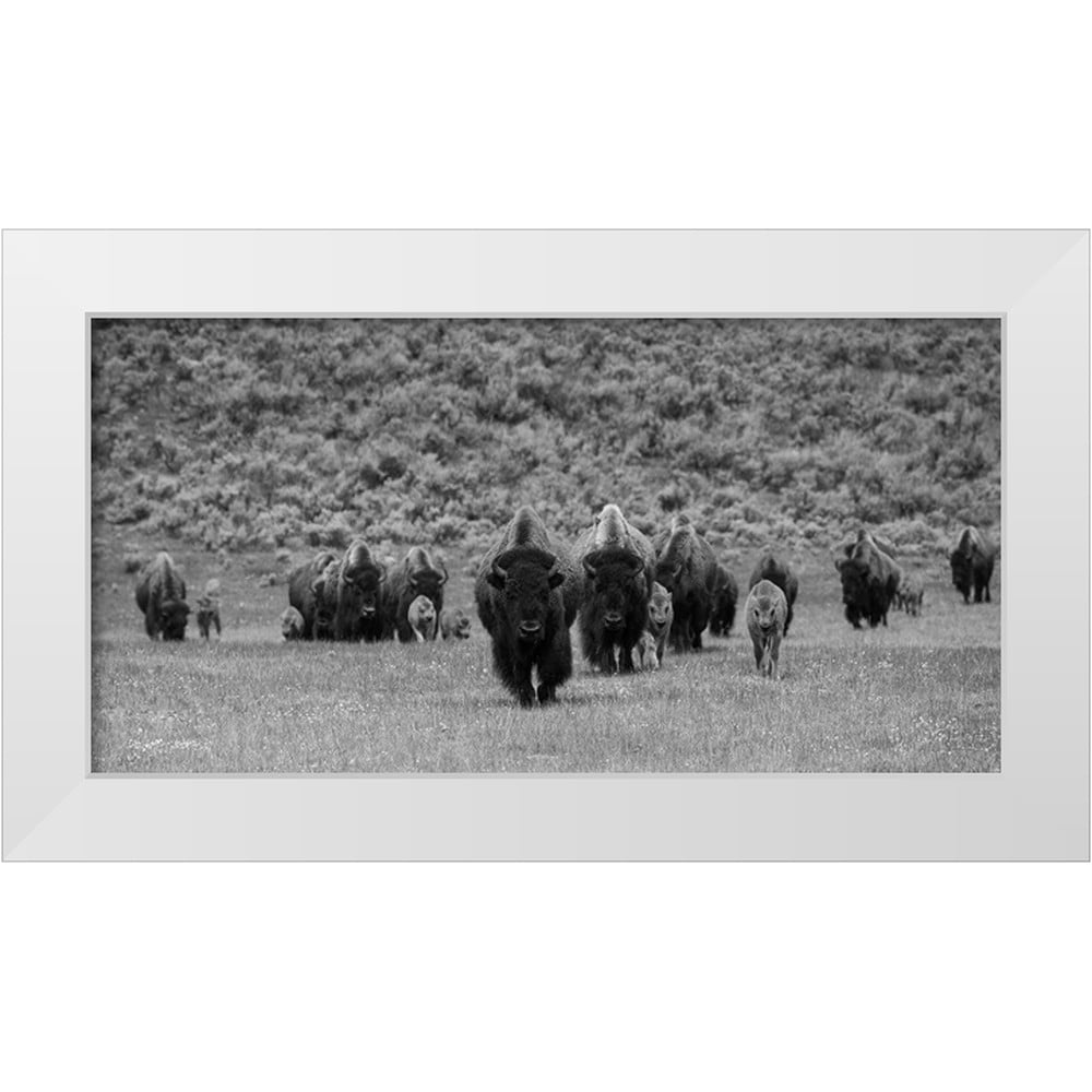 The Yellowstone Collection 32x18 White Modern Wood Framed Museum Art ...