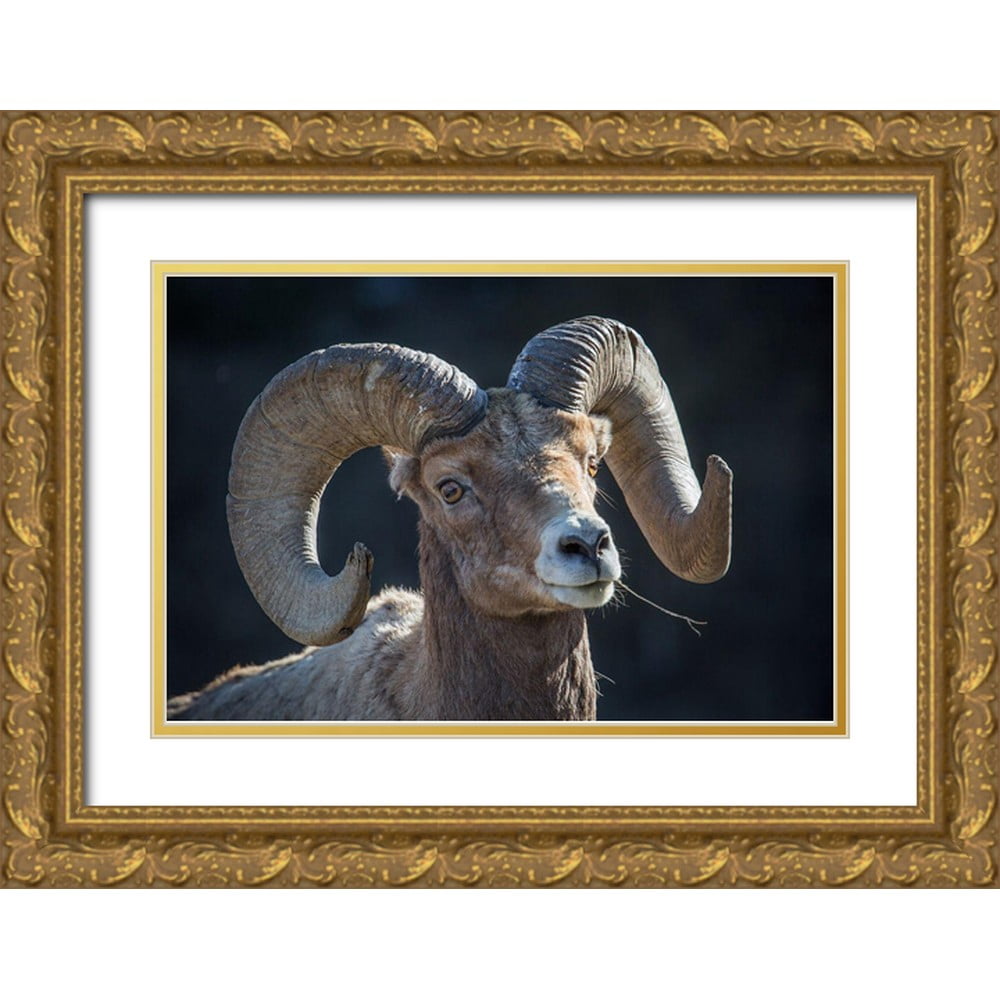 The Yellowstone Collection 32x23 Gold Ornate Wood Framed with Double ...