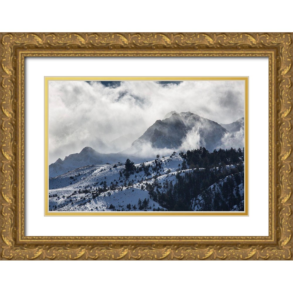 The Yellowstone Collection 32x23 Gold Ornate Wood Framed with Double ...